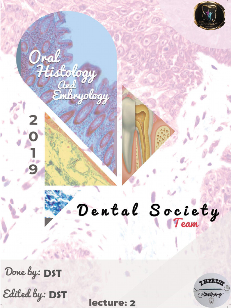 Oral Histology Lec-2 | PDF | Morphology (Biology) | Anatomy