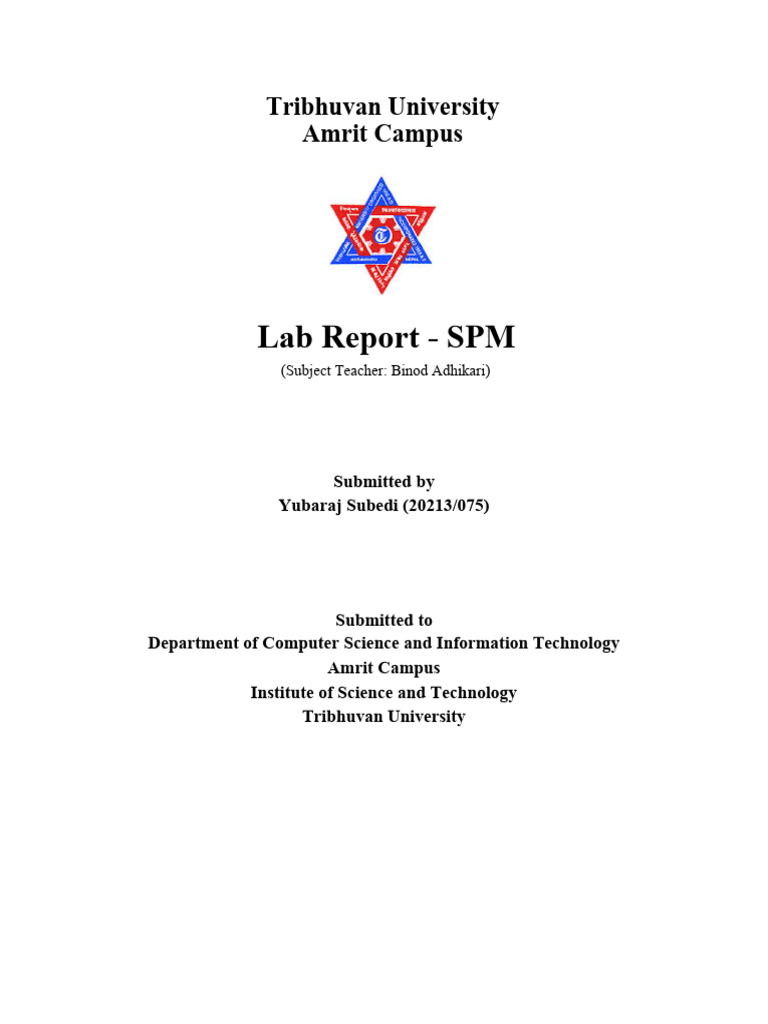 Spm Final Report 1 1 Watermark (6) | PDF | Net Present Value | Return On Investment