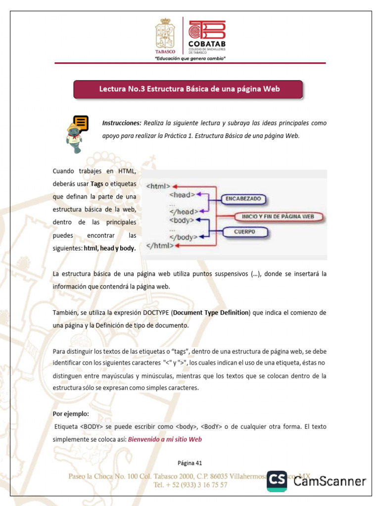 Estructura Básica de una Página Web | PDF | HTML | Red mundial