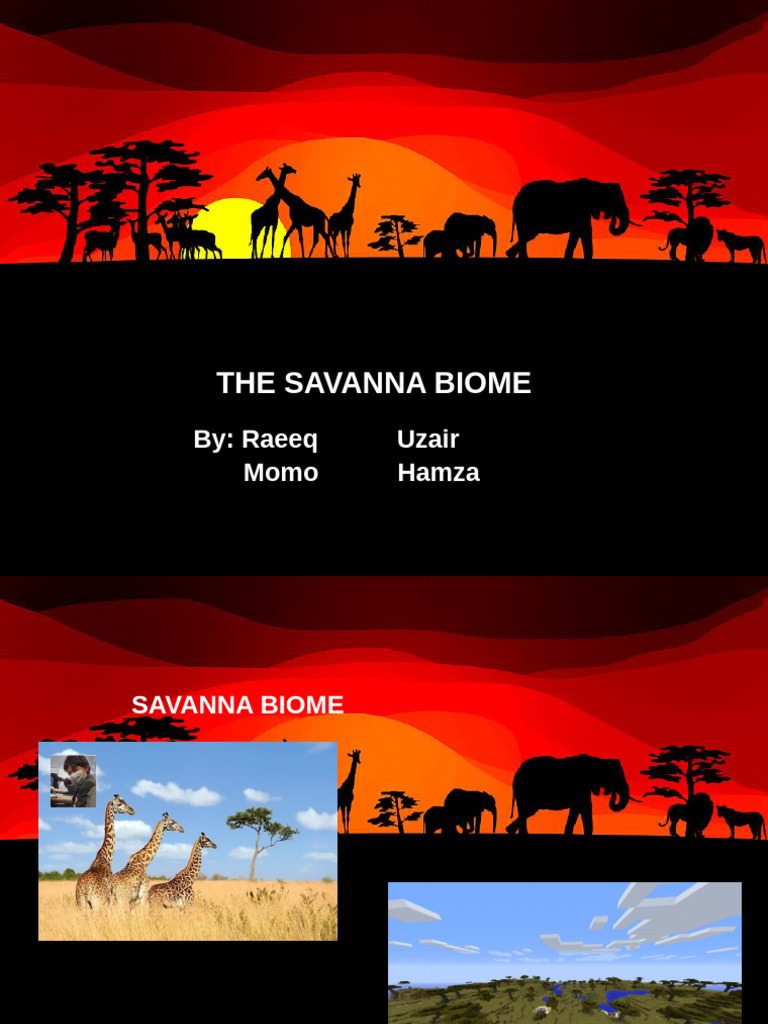 The Savanna Biome | PDF