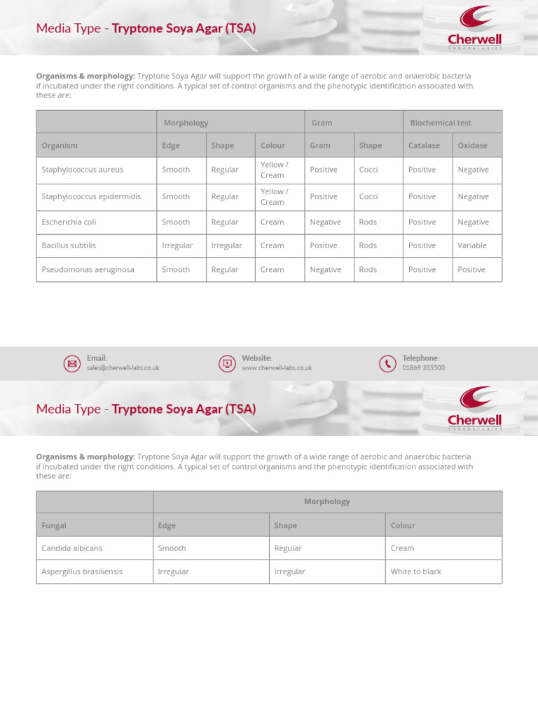 Tryptone Soya Agar Charts | PDF | Bacillus | Staphylococcus