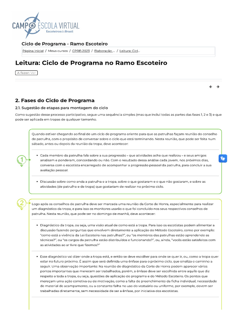 CICLO DE PROGRAMA | PDF