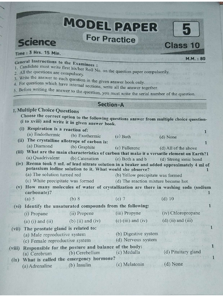 Sample Paper 5 | PDF