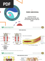 Región Maseterina | PDF | Salud y bienestar