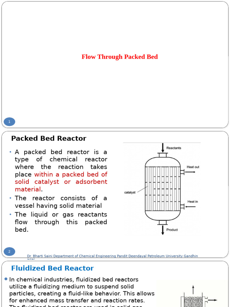 12-Flow Through Packed Bed | PDF | Chemical Reactor | Catalysis