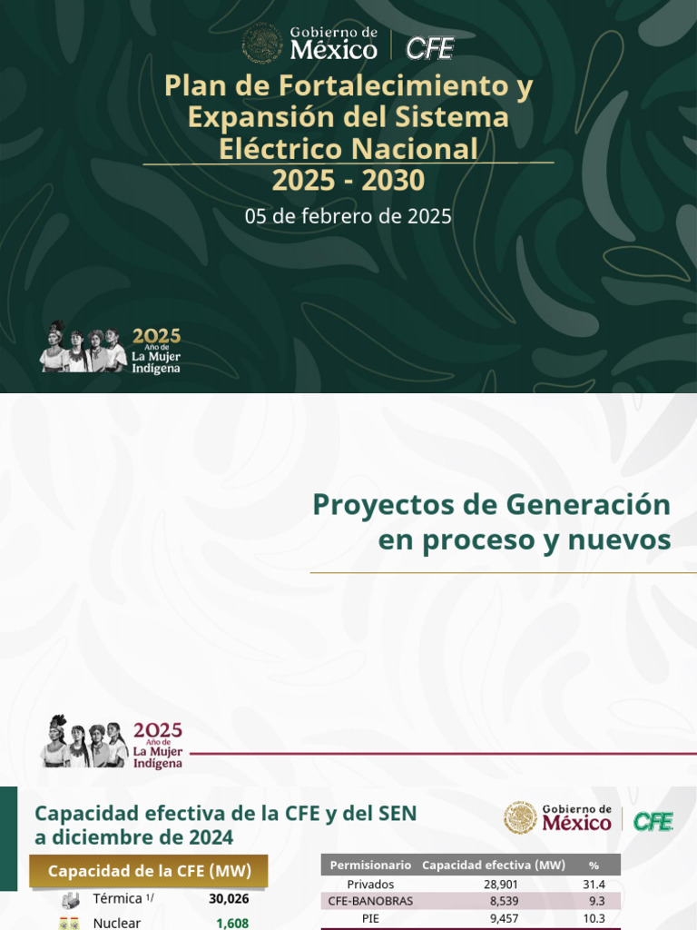 Plan Fortalecimiento y Expansión Sistema Eléctrico Nacional | PDF | Internet | Poder (Física)