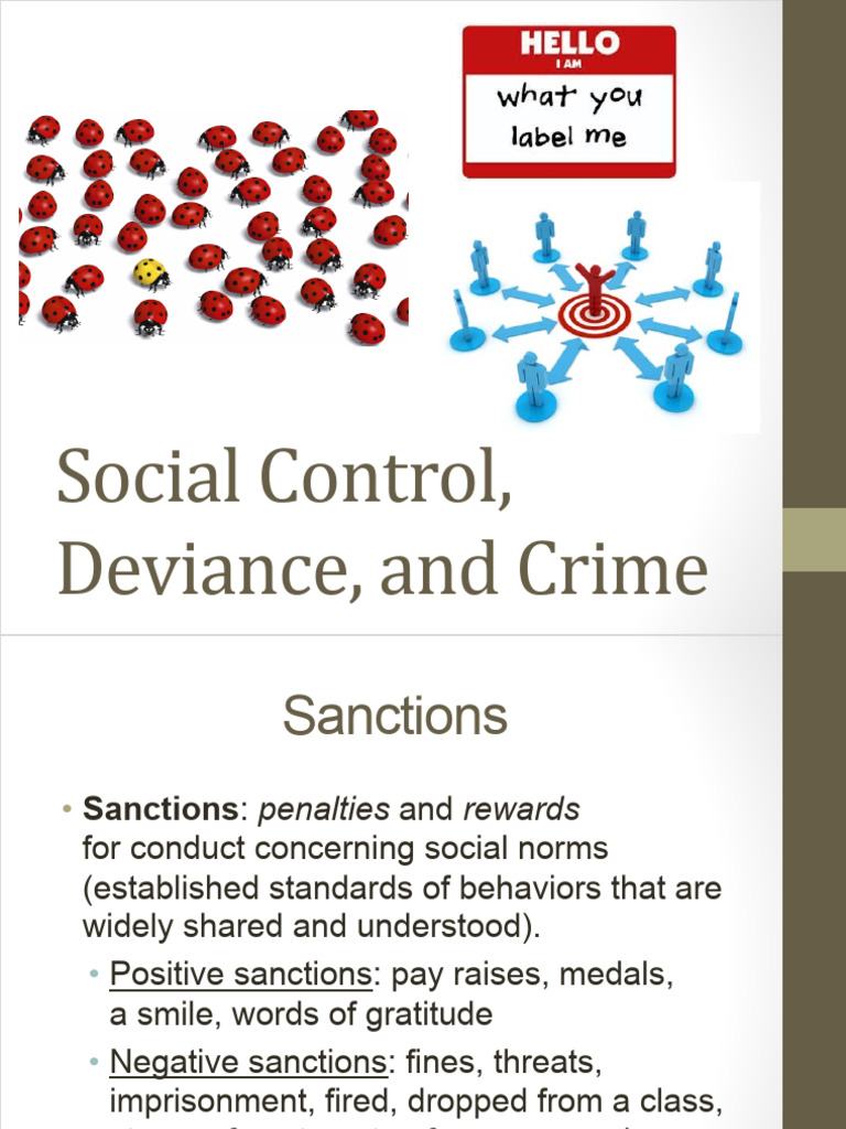 CH 7 Social Control Deviance Crime PDF | PDF | Deviance (Sociology ...