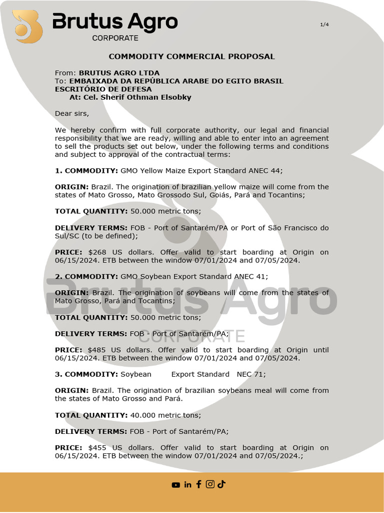 Export Offer Brutus - Egypt Cel. Sherif Othman Elsobky | PDF