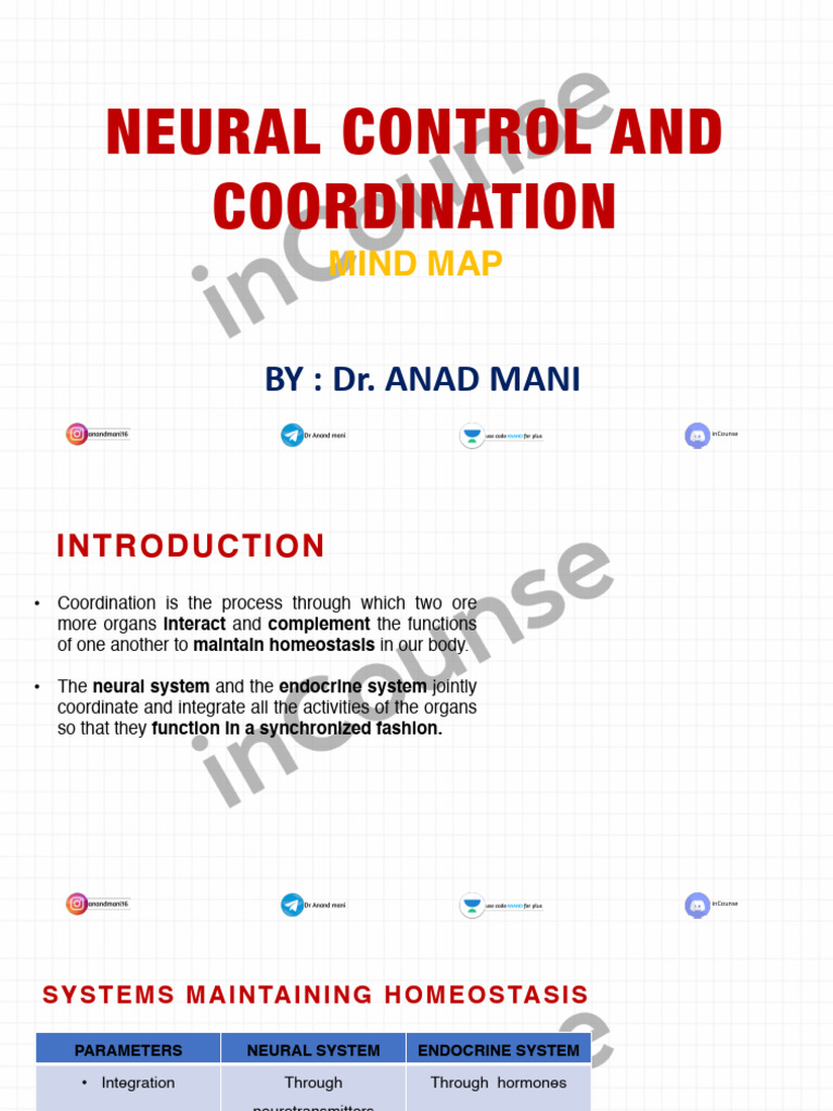 Mind Map of Neural Control Systems | PDF | Nervous System | Action ...