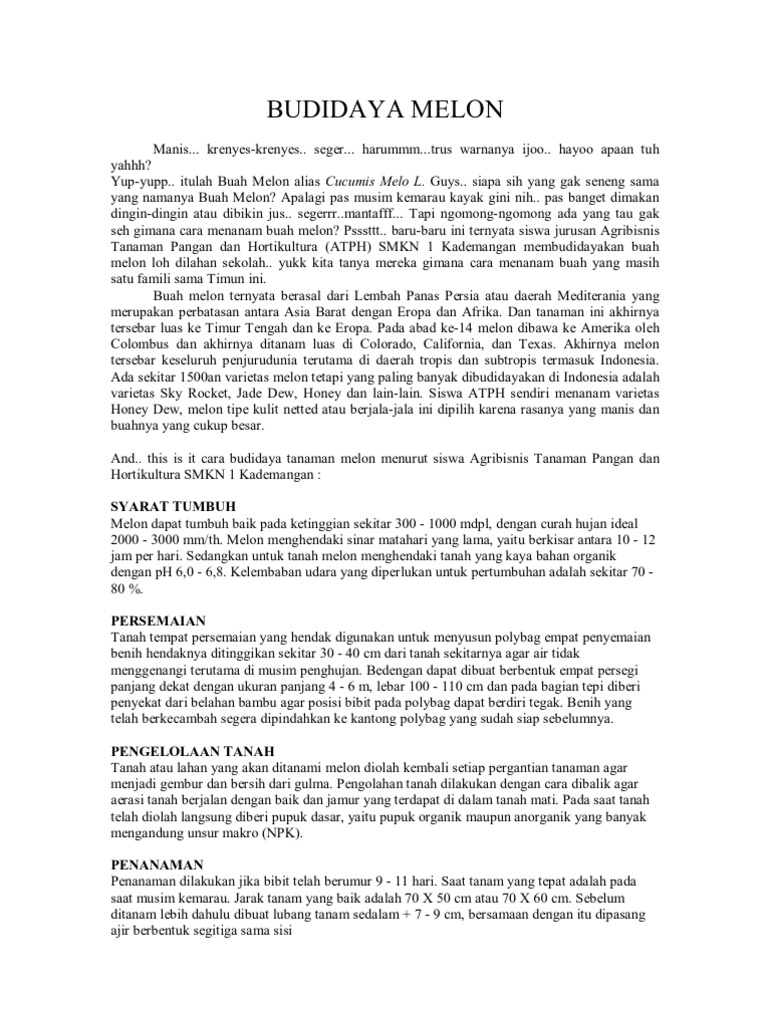 Budidaya Melon | PDF | Teknologi & Rekayasa