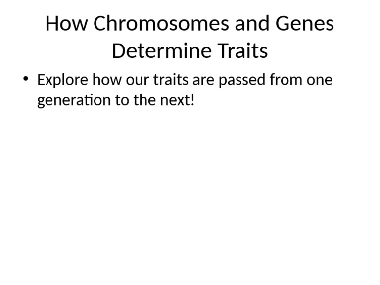 Chromosomes_Genes_Traits_Presentation_Retry | PDF