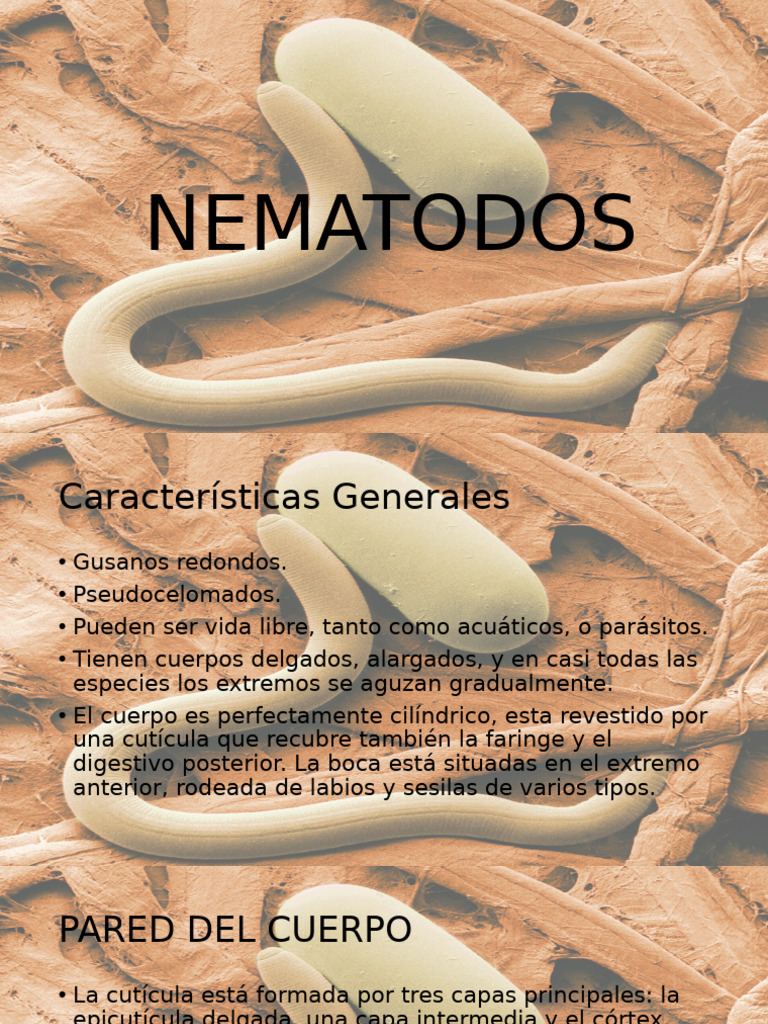 Nematodos | PDF