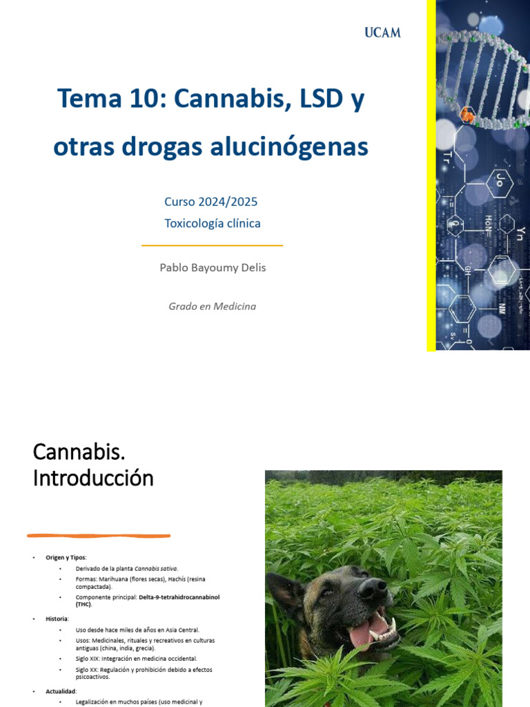 Tema 10: Cannabis, LSD y Otras Drogas Alucinógenas: Toxicología Clínica Curso 2024/2025 | PDF ...
