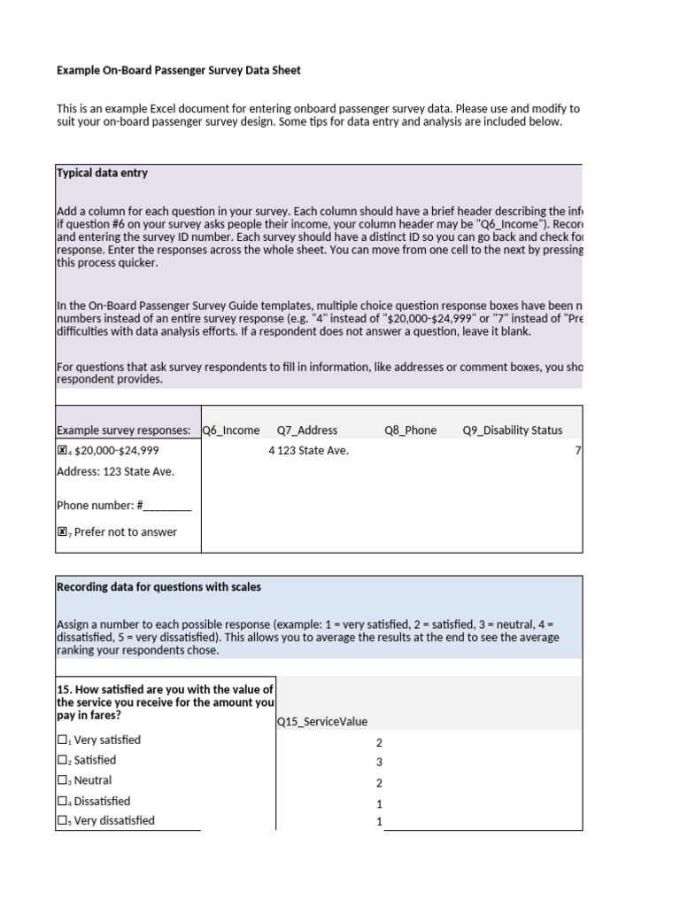 On Board Passenger Survey Data Sheet Example | PDF | Race And Ethnicity ...