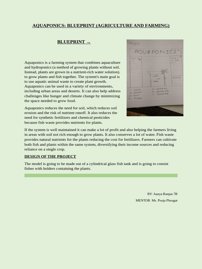 Aquaponics Science Project Blueprint | PDF