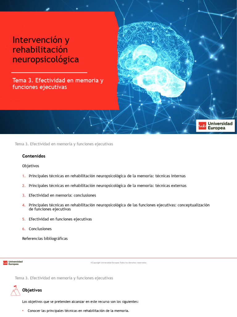Rehabilitación Neuropsicológica: Memoria y Funciones Ejecutivas | PDF ...
