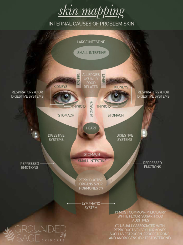 Face-Mapping | PDF