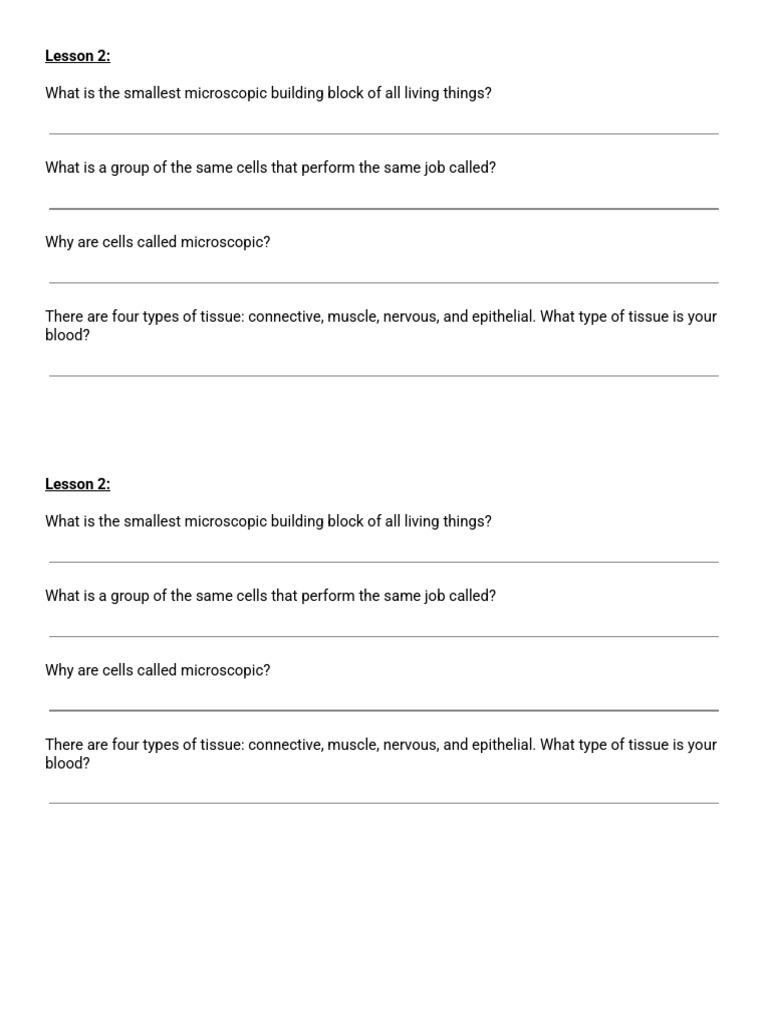 Lesson 2 Comprehension | PDF