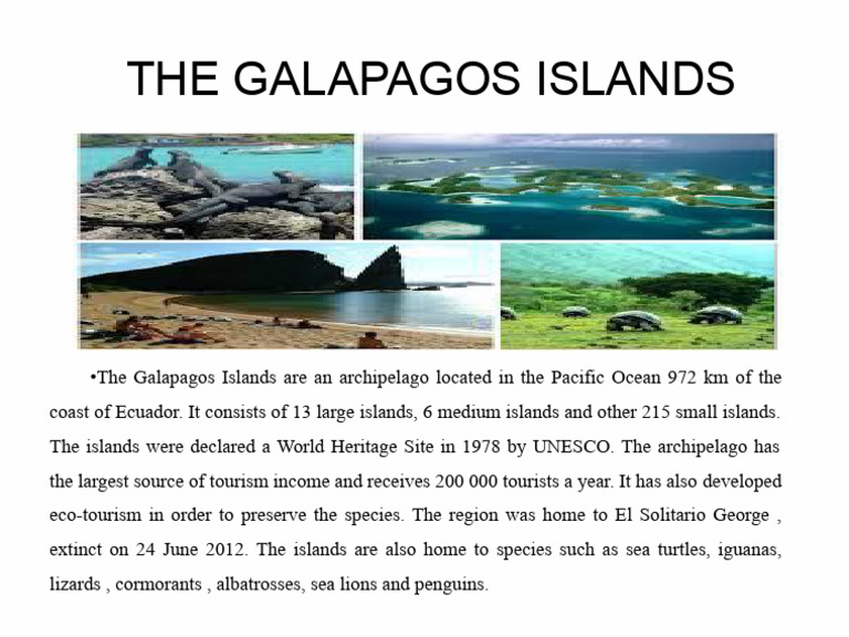 The Galap Island Present-TP | PDF