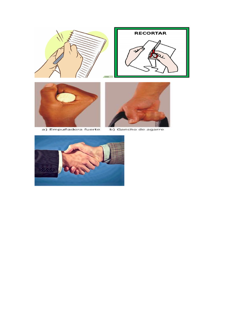 Manos Formas SP PauloVI | PDF