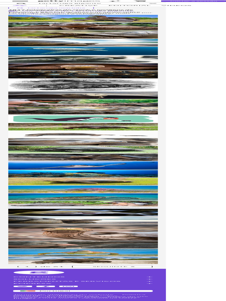 1.817 Tartaruga Gigante Stock Photos, High-Res Pictures, And Images - Getty Images Tartaruga ...