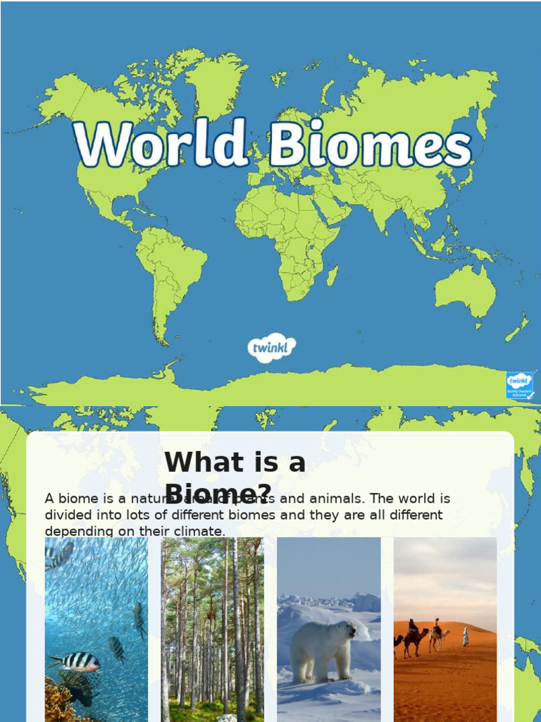 World Biomes Powerpoint | PDF