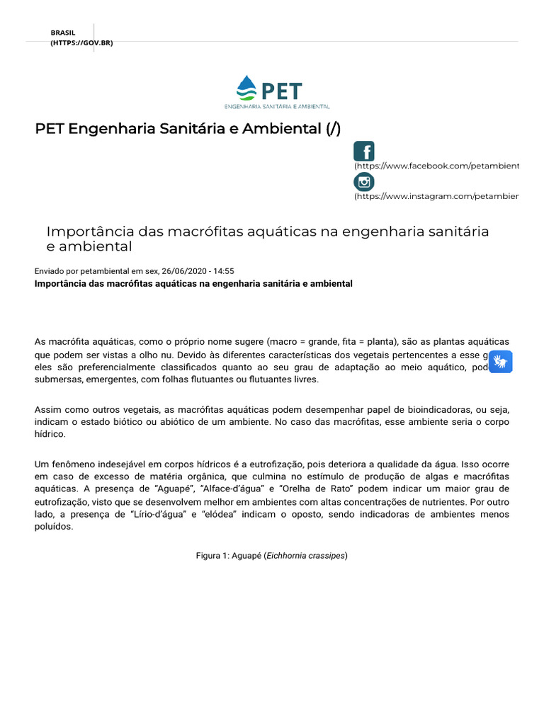 Importância das Macrófitas na Água | PDF | Geociências | Ambiente natural