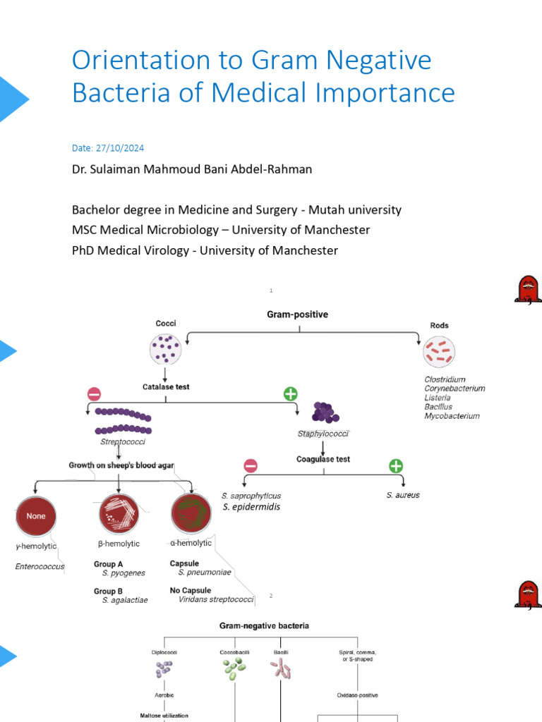 Orientation To Gram Negative Bacteria of Medical Importance: Dr ...
