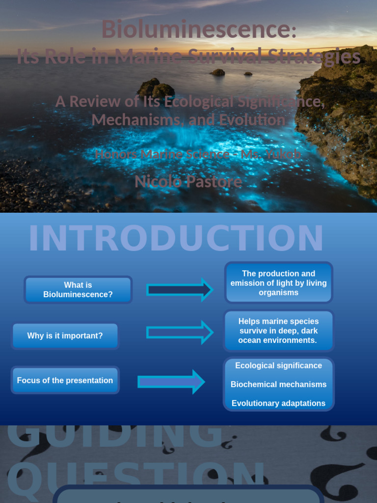 Marine Bioluminescience | PDF | Biology | Earth Sciences