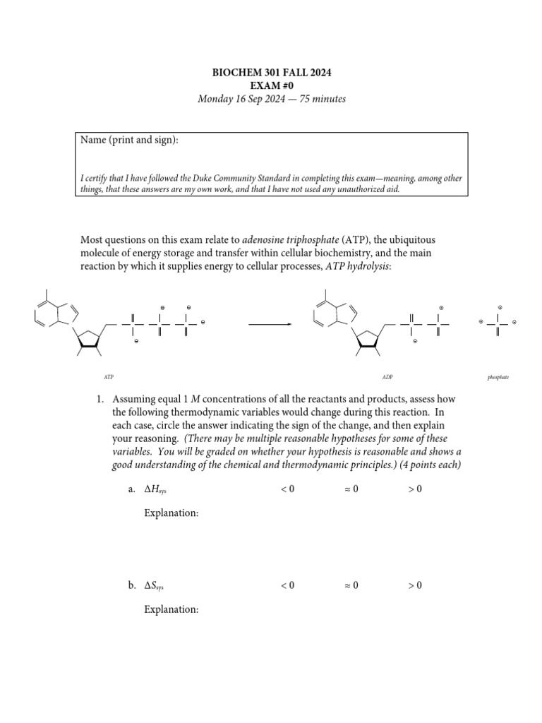 Exam 0 - Fall 2024 | PDF | Adenosine Triphosphate | Adenosine Diphosphate