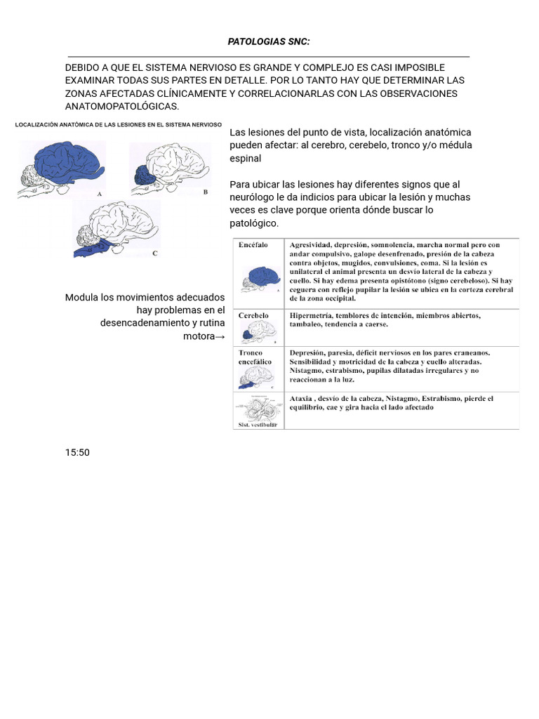 Patologias SNC - 1 | PDF