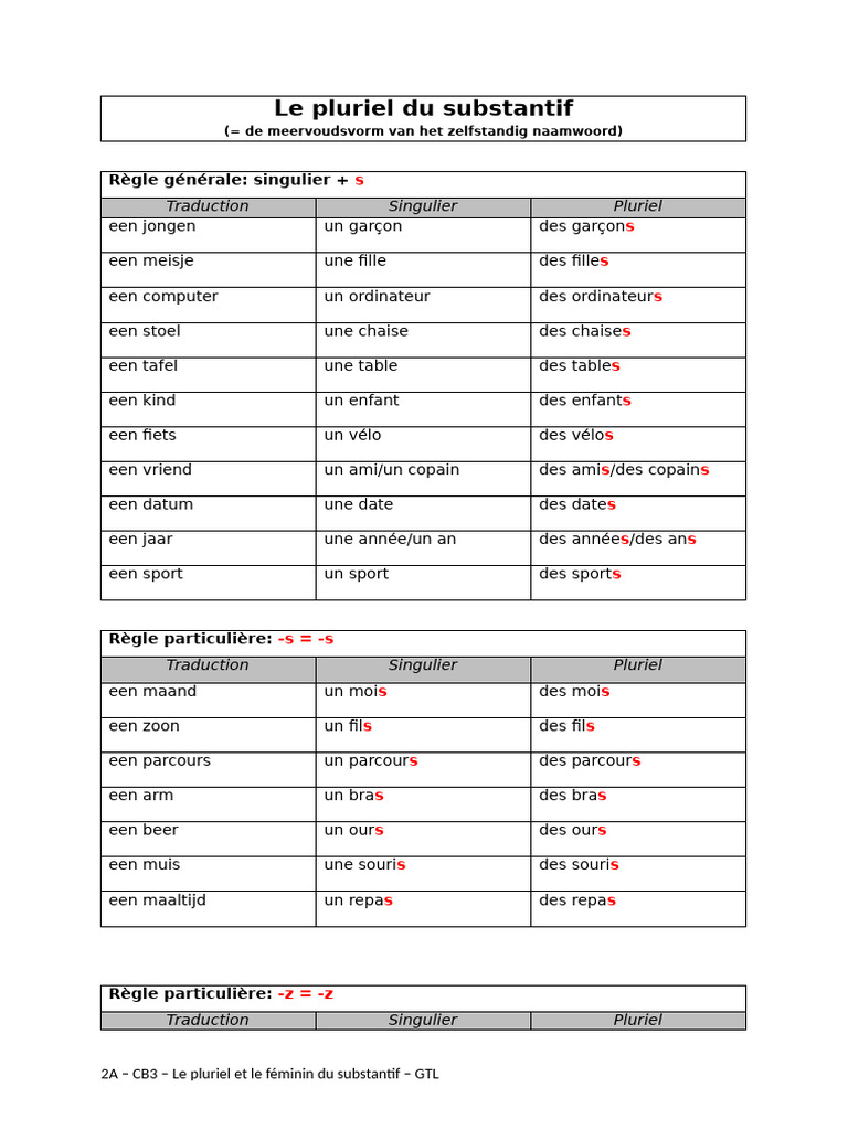 2A - CB3 - Le Pluriel Et Le Féminin Du Substantif - Extra Blaadje Theorie - Verbetersleutel | PDF