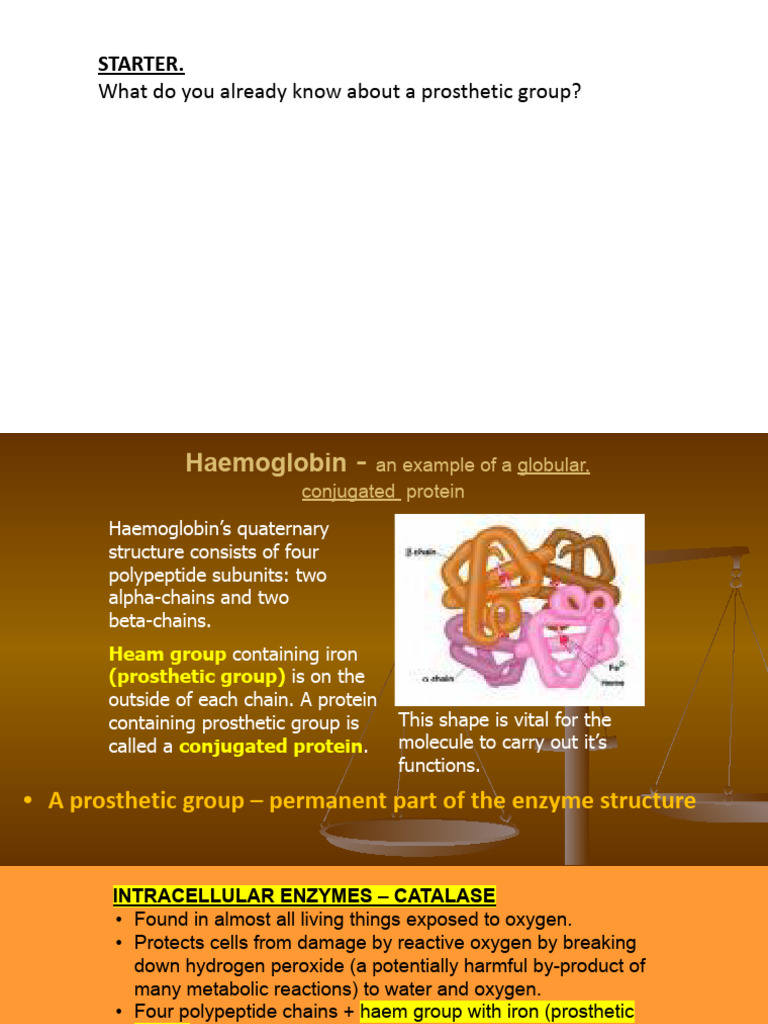 Cofactors | PDF | Cofactor (Biochemistry) | Enzyme