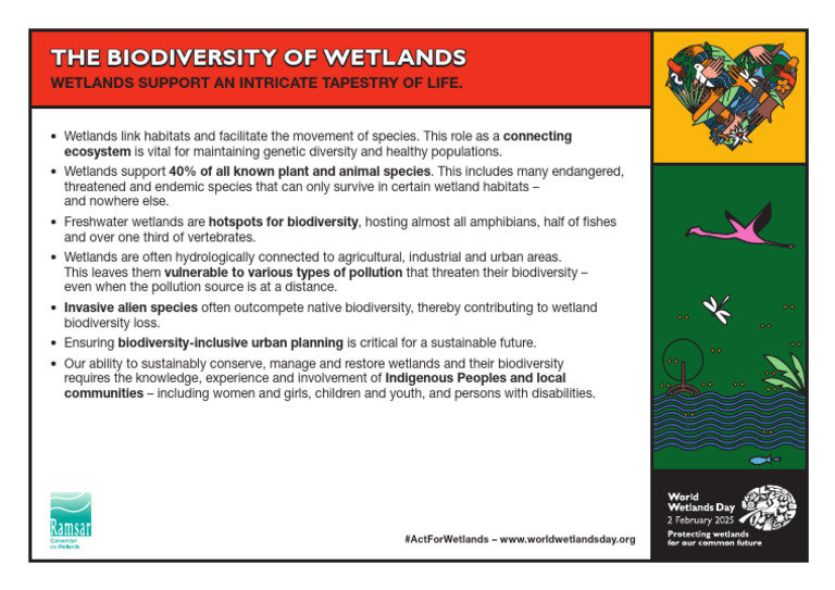 WWD2025 Infographics Biodiversity EN | PDF