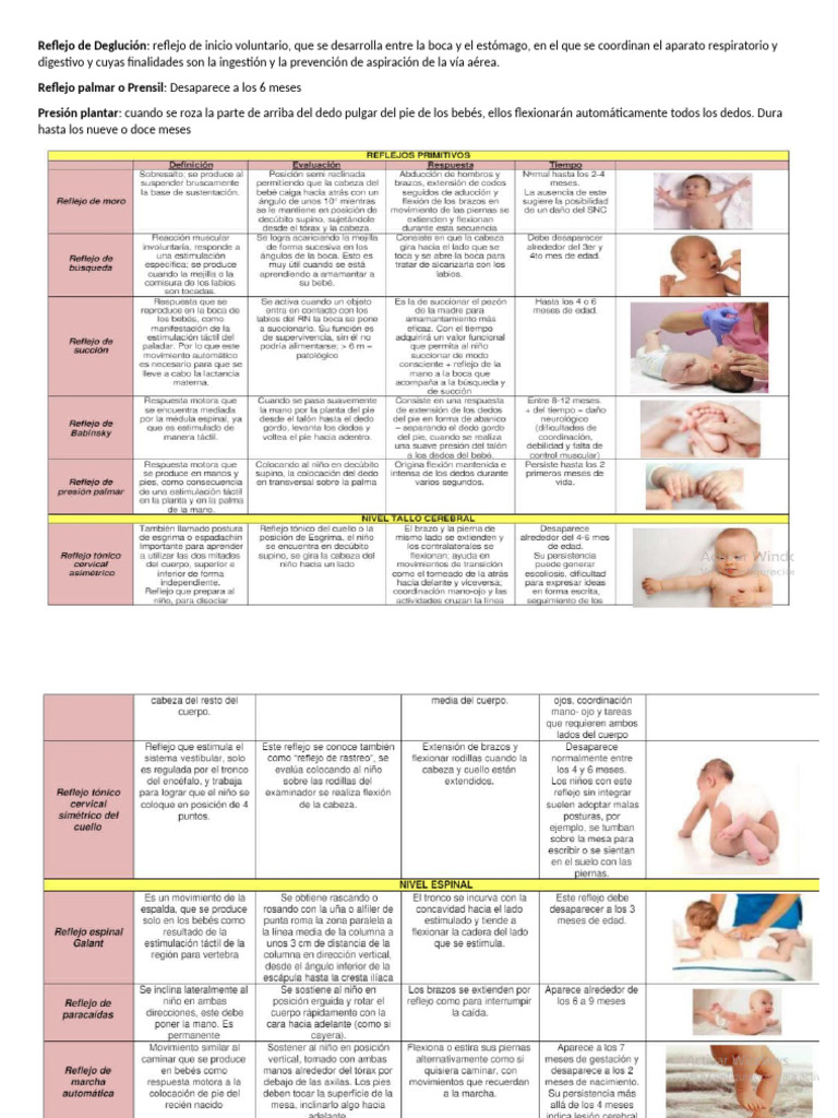 Reflejos Infantiles: Deglución y Prensión | PDF