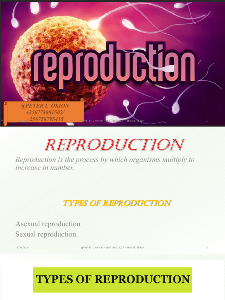 Overview of Reproduction Types | PDF | Menstrual Cycle | Luteinizing ...