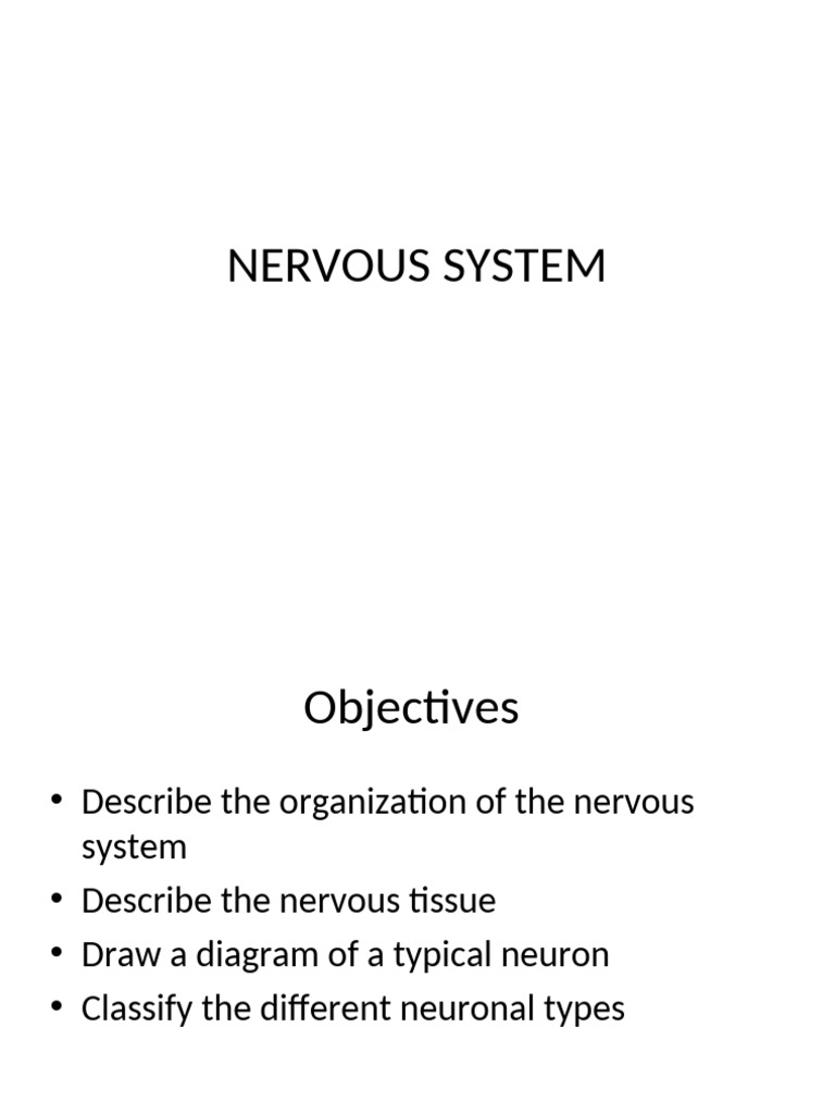 Nervous System 1 | PDF | Axon | Nervous System
