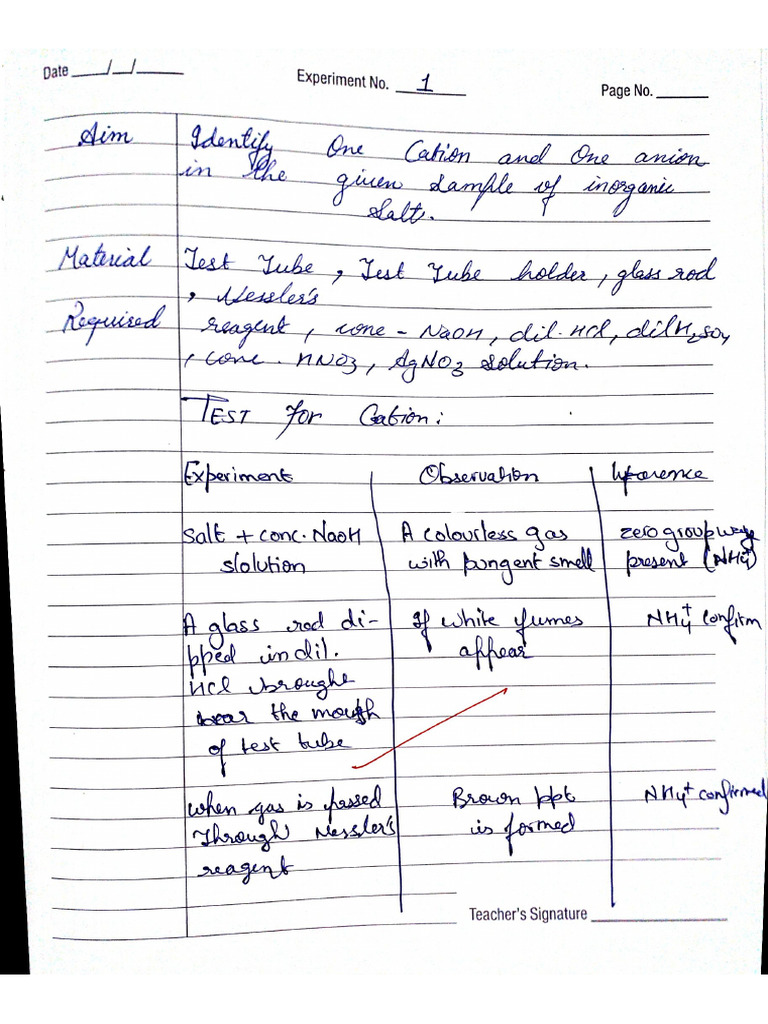 Practical Work | PDF
