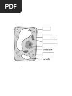 Grade 9 Cell Diagram Worksheet | PDF