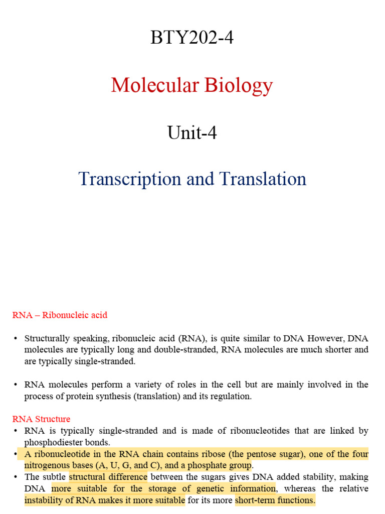 Molecular Biology: RNA Functions | PDF | Messenger Rna | Rna