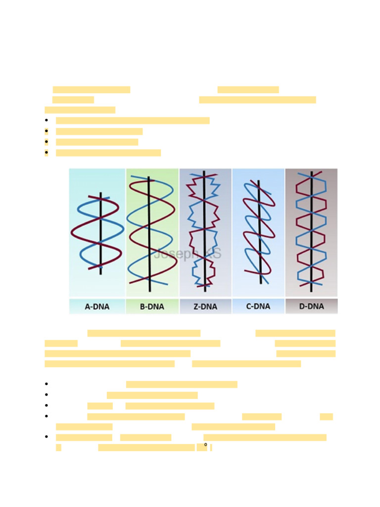 Six Forms of DNA Explained | PDF | Nucleic Acid Double Helix | Dna