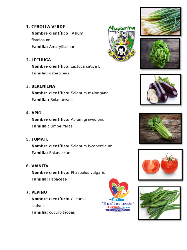 Album de Semillas | PDF