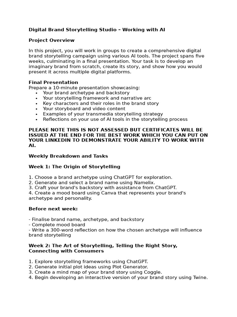 Brand Studio Instructions | PDF | Storytelling | Brand