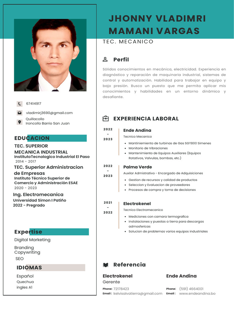Simple Professional CV Resume | PDF | Business