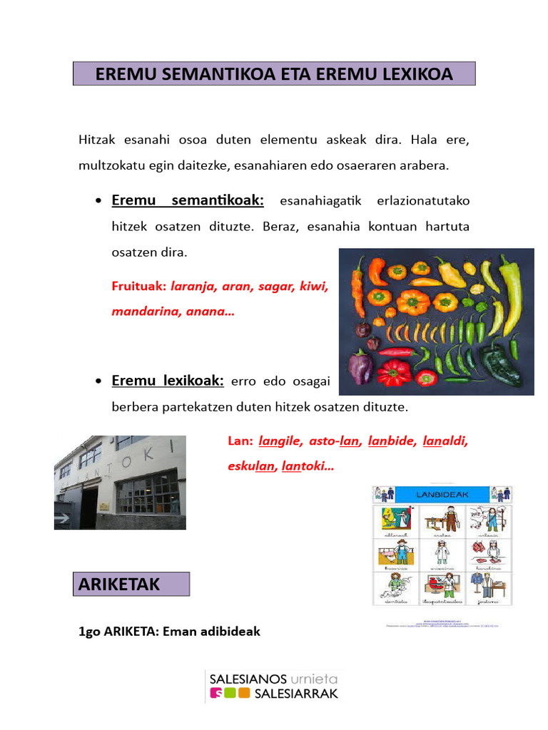 Eremu Lexiko Eta Semantikoa | PDF