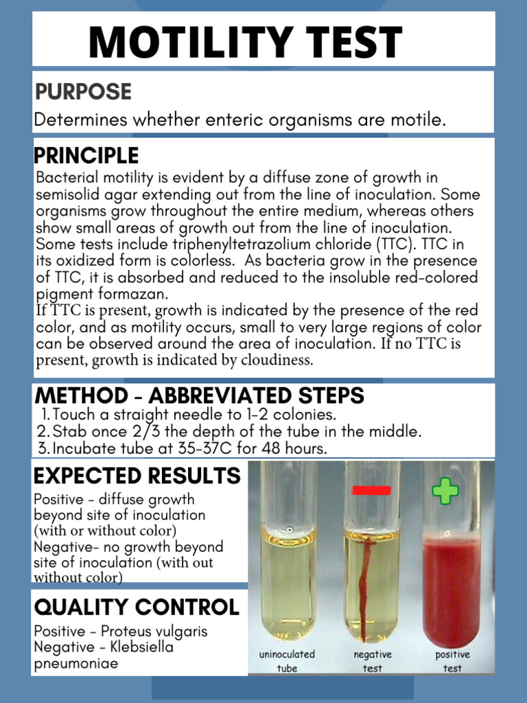 Motility Test | PDF