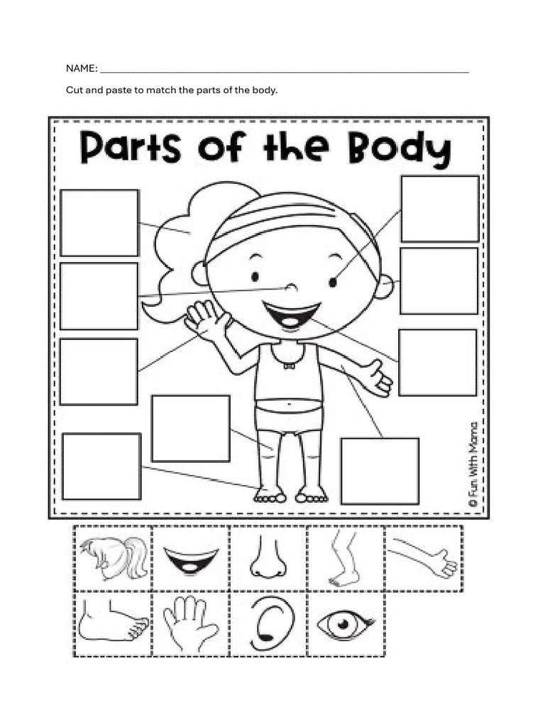 Body Parts 2. | PDF