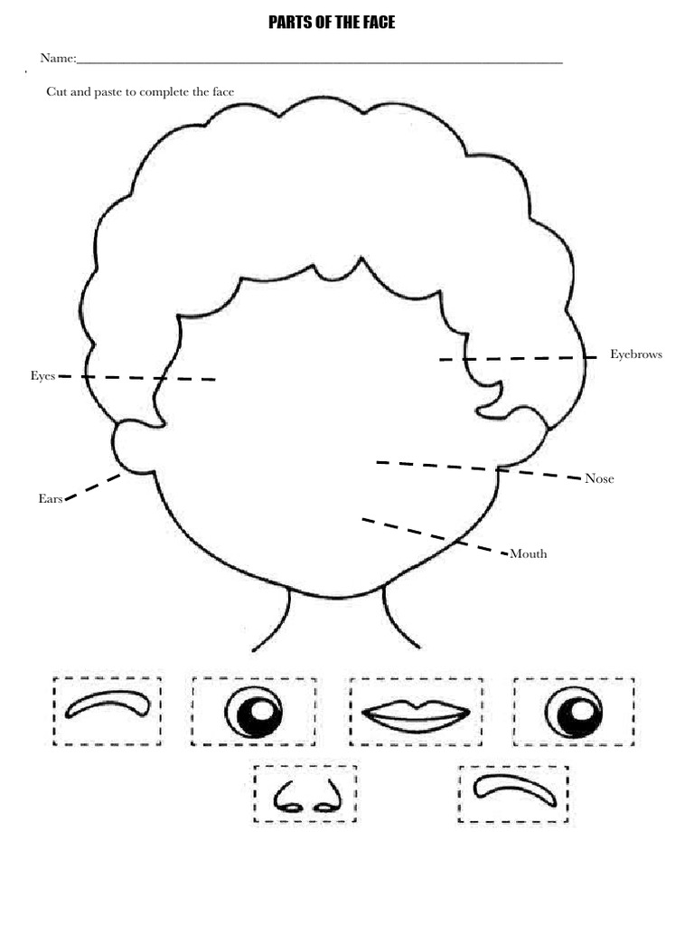 Face Parts | PDF