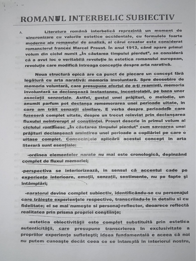 Romanul Interbelic Subiectiv BAC | PDF