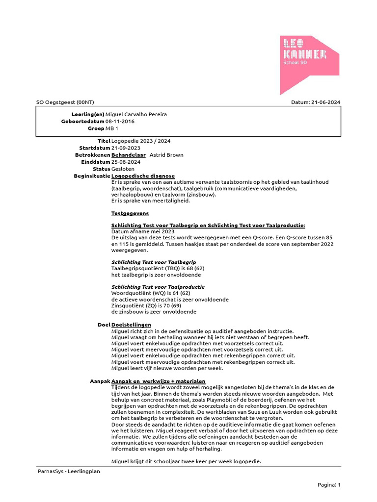 Schlichting Test Voor Taalbegrip | PDF